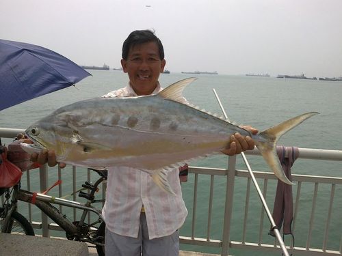 My Biggest on Cable Car Rig – Shoreangler