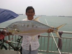Types of Fishes found along Singapore Shoreline – Shoreangler
