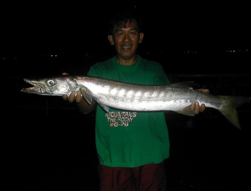 Poisonous and Dangerous fishes you must know – Shoreangler