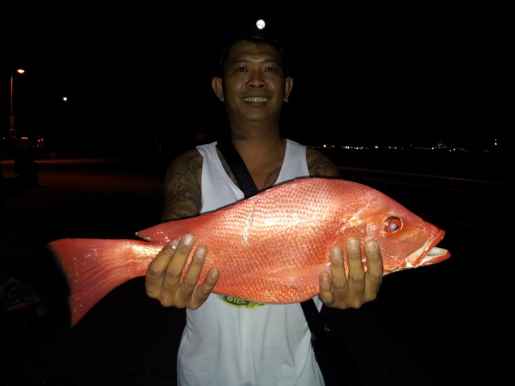 Types of Fishes found along Singapore Shoreline – Shoreangler