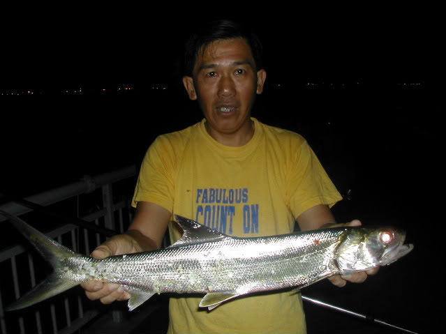 Types of Fishes found along Singapore Shoreline – Shoreangler