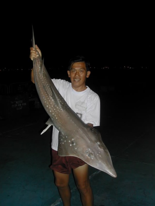 Tips for Successful Shore Fishing II – Shoreangler