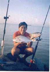 How to start Beach Fishing – Shoreangler