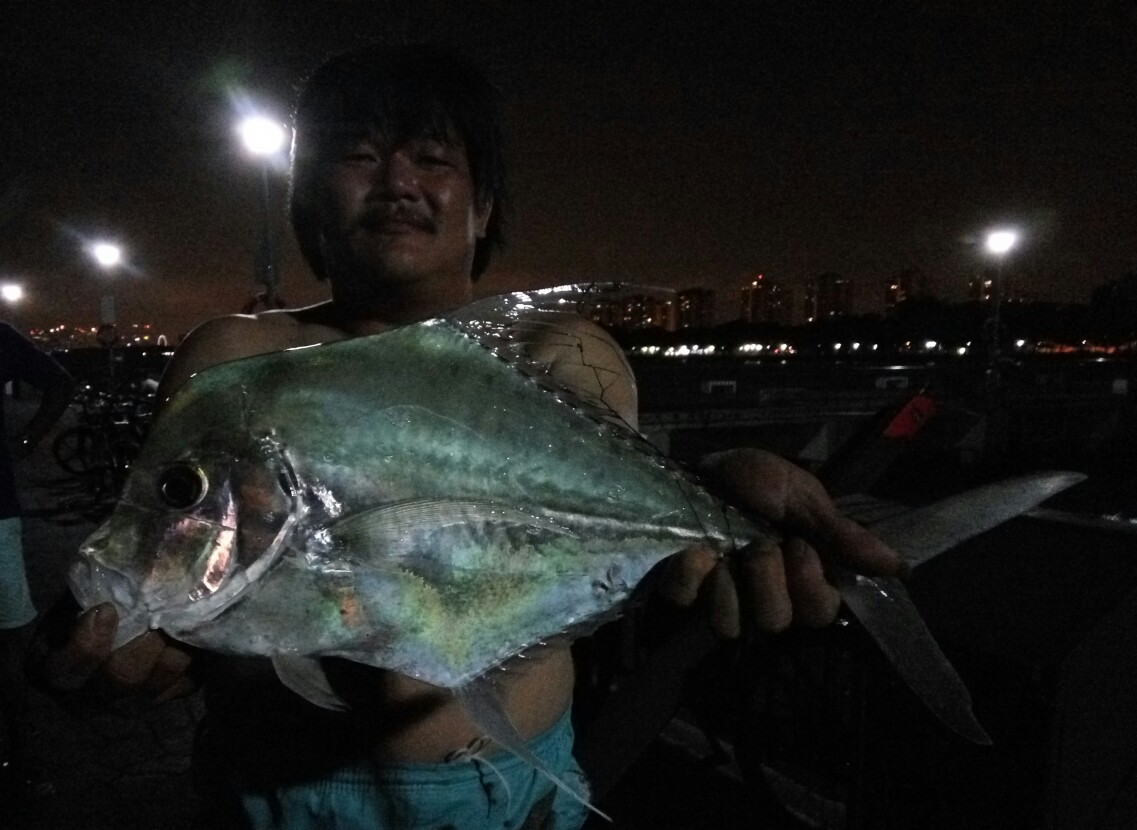 Chermin or Diamond Travelly – Shoreangler