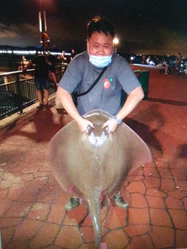Bull Tail Stingray – Shoreangler