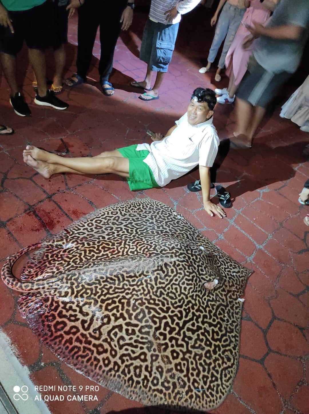 80kg Honeycomb Whip Ray landed – Shoreangler