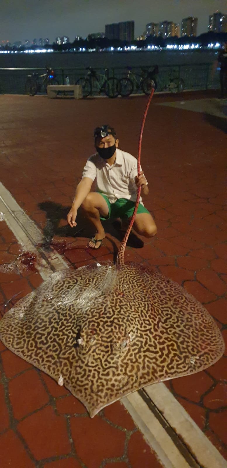 80kg Honeycomb Whip Ray landed – Shoreangler