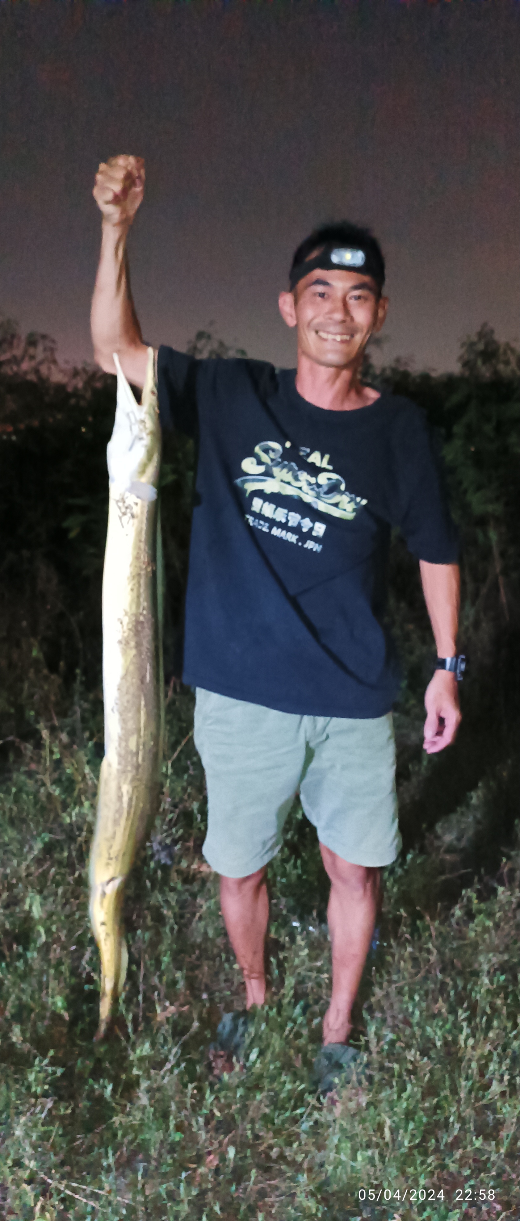 Golden Eel – Shoreangler