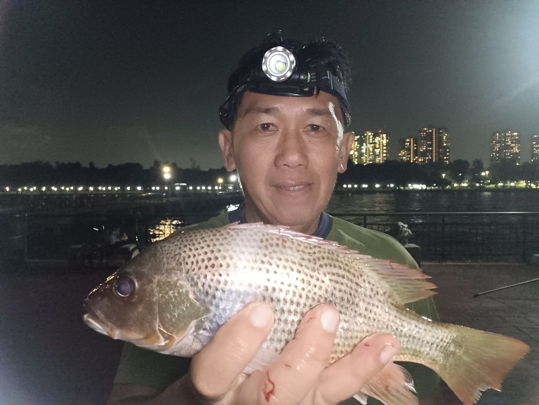 Golden Fingermark Snapper – Shoreangler