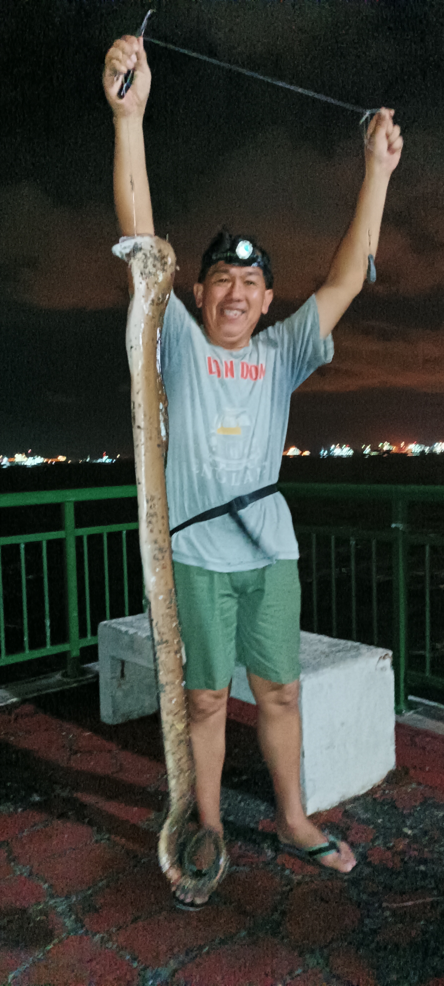 Cow Tail Ray – Shoreangler