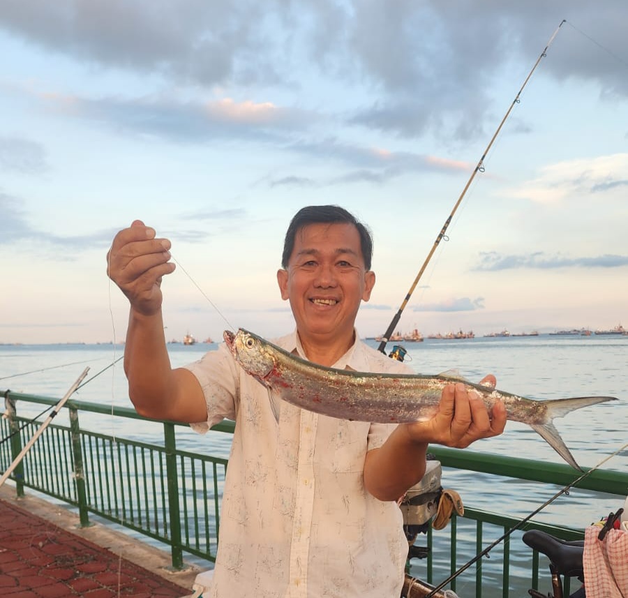 Wolf Herring – Shoreangler