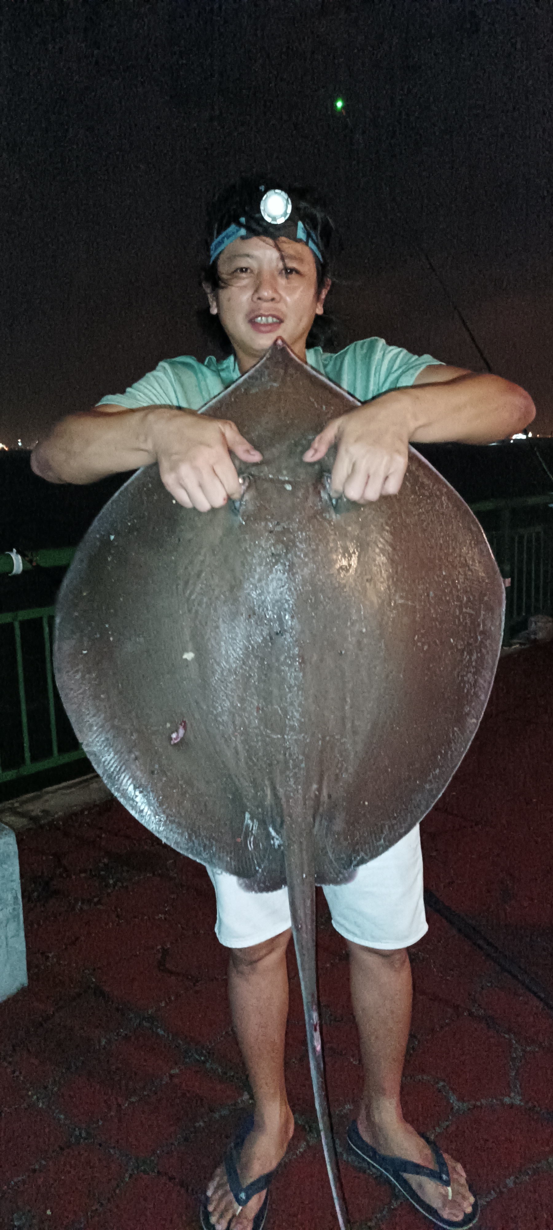 Long Tail Stingray – Shoreangler